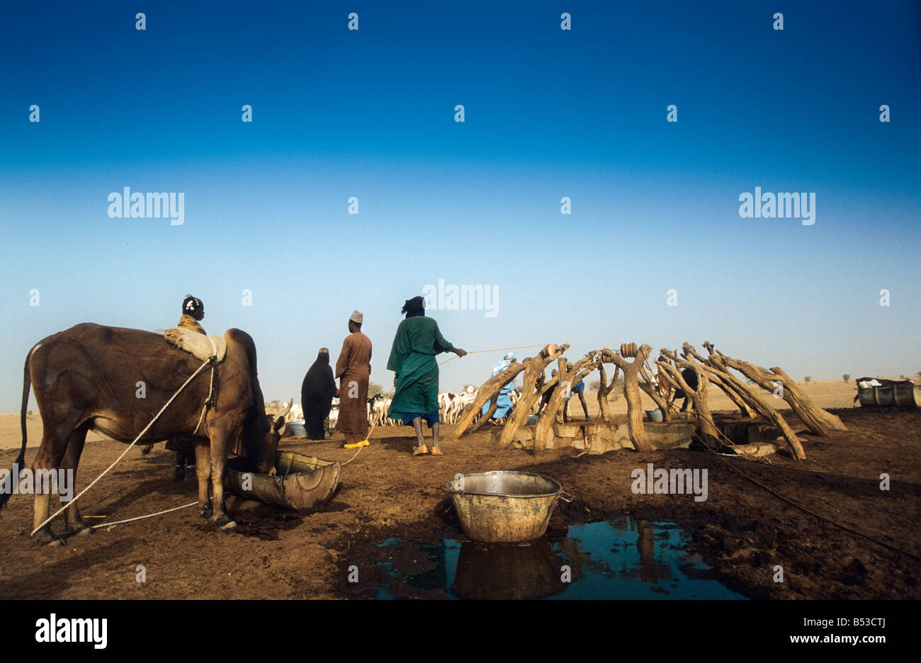 Mali farming hi-res stock photography and images - Alamy