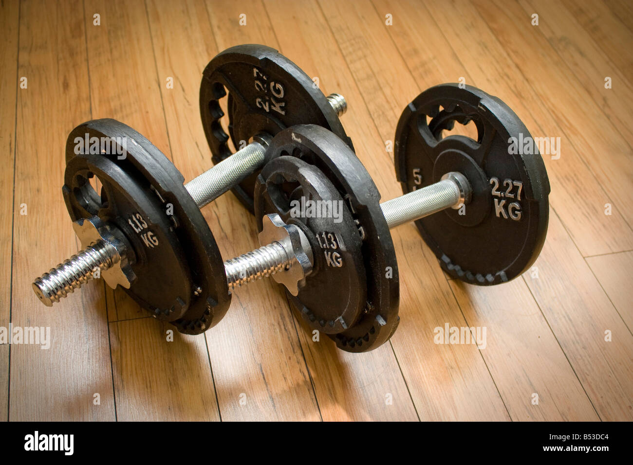 Free weights sitting on a wood floor the perfect accessory to any home ...