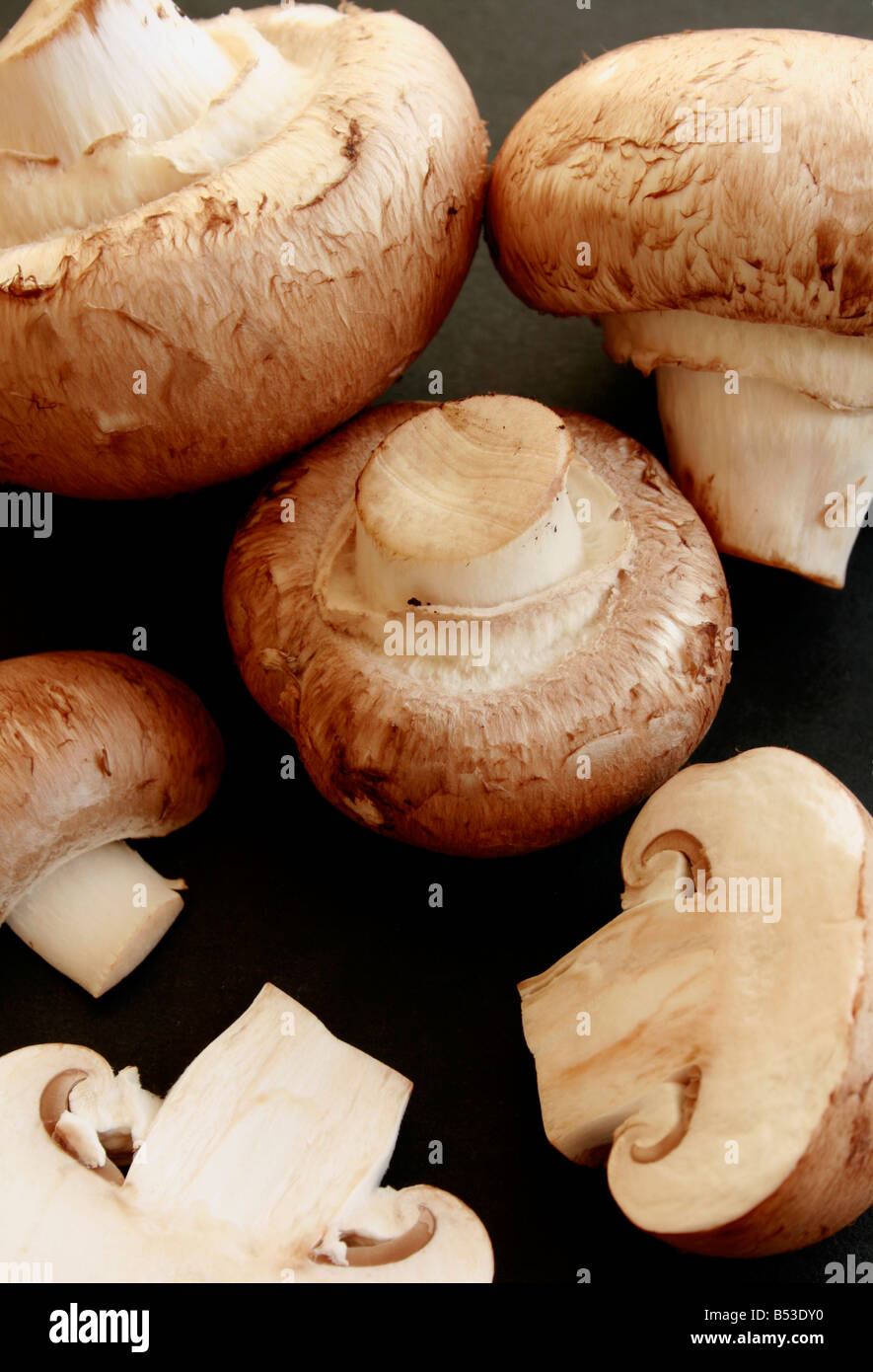 Uk chestnut mushroom hi-res stock photography and images - Alamy