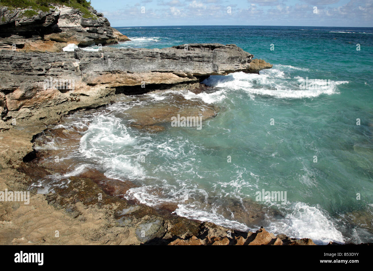Smiths ponds hi-res stock photography and images - Alamy