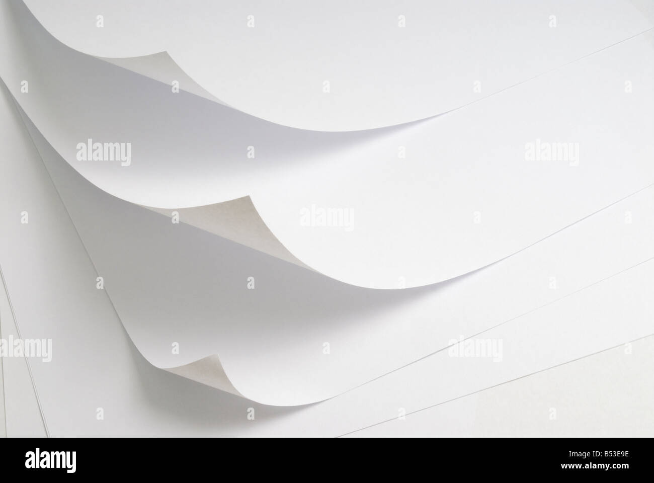 Blank Paper with curls Stock Photo - Alamy