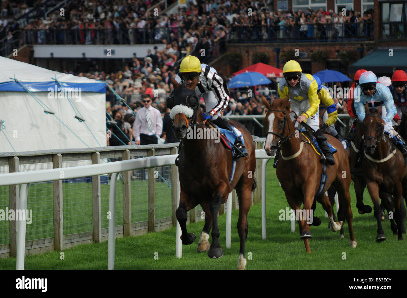 Horse racing beverley races hi-res stock photography and images - Alamy