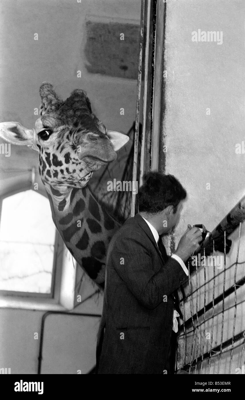 1969 baby girl hi-res stock photography and images - Alamy