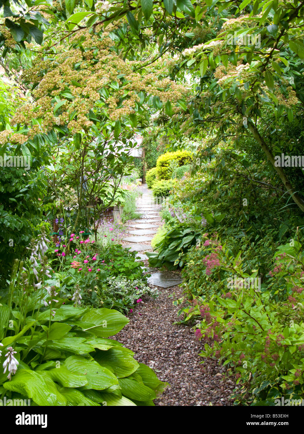 Overgrown path garden hi-res stock photography and images - Alamy