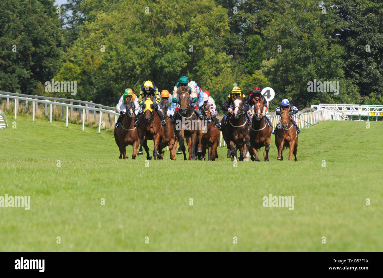 Horse racing beverley races hi-res stock photography and images - Alamy