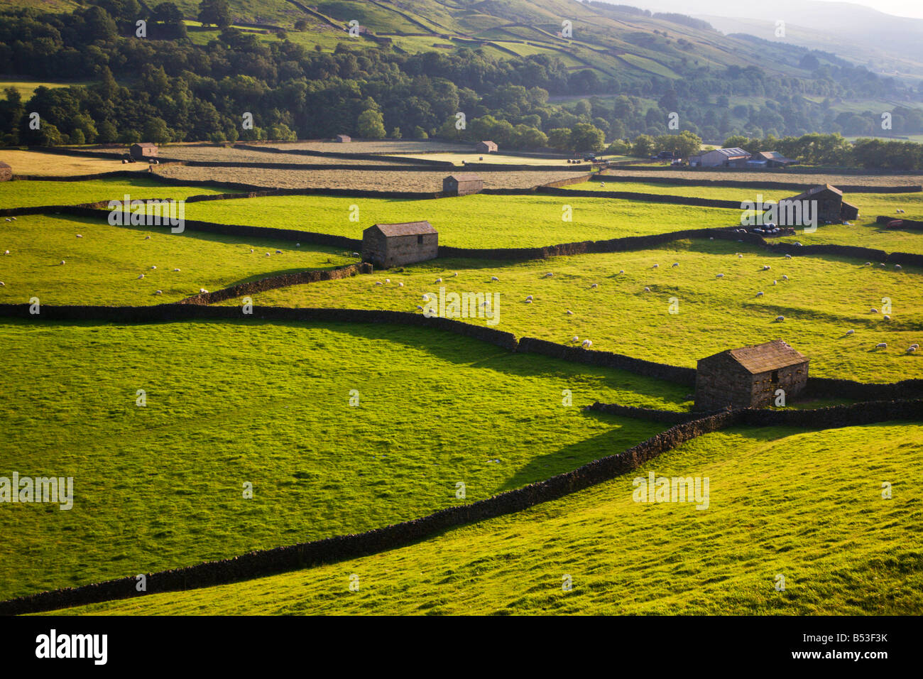 Field Barns Gunnerside Swaledale Yorkshire Dales England Stock Photo ...