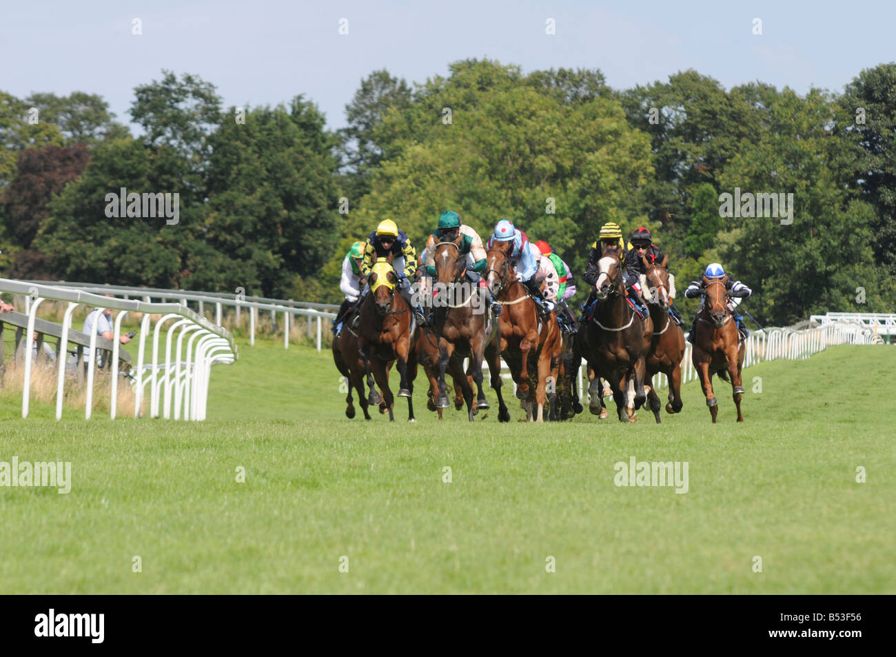Horse racing beverley races hi-res stock photography and images - Alamy