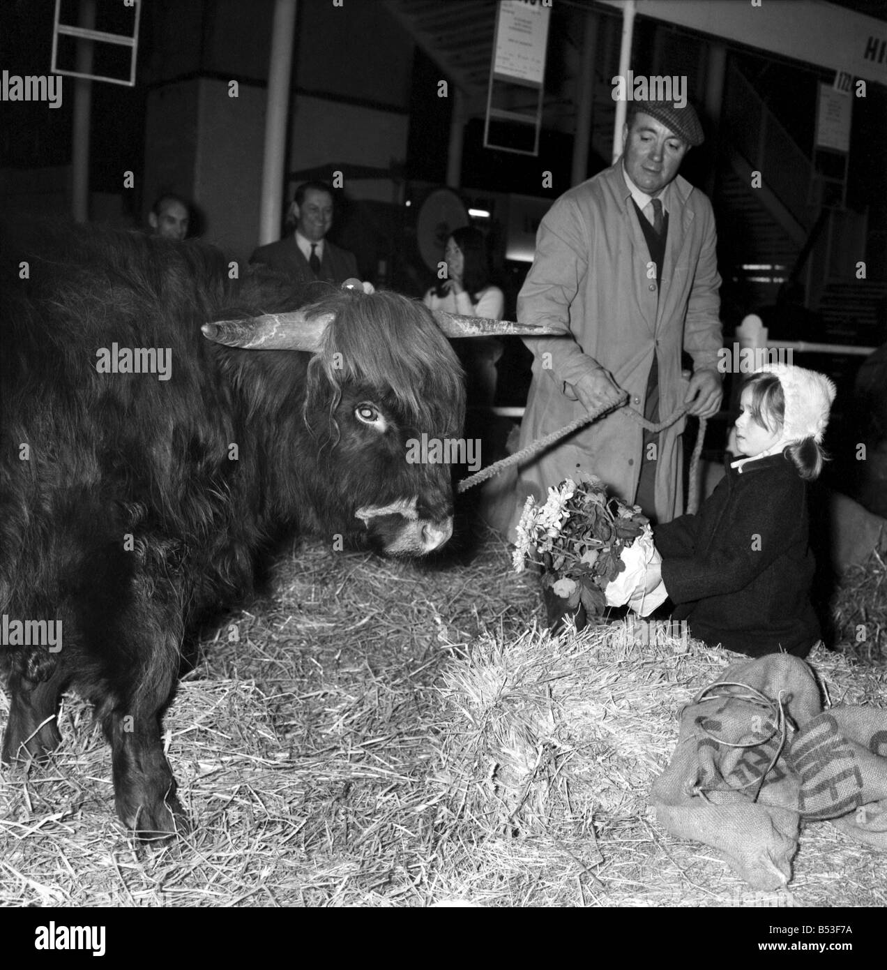 Slippery animals Black and White Stock Photos & Images - Alamy