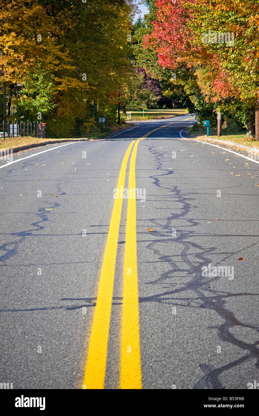 An empty road with diminishing perspective during the fall season Stock ...
