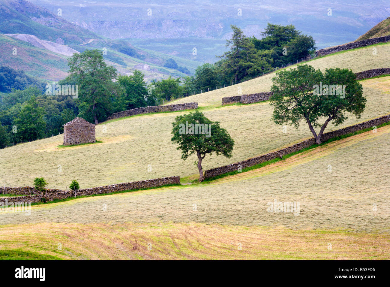 Freshly Cut Grass near Keld Swaledale Yorkshire Dales England Stock ...