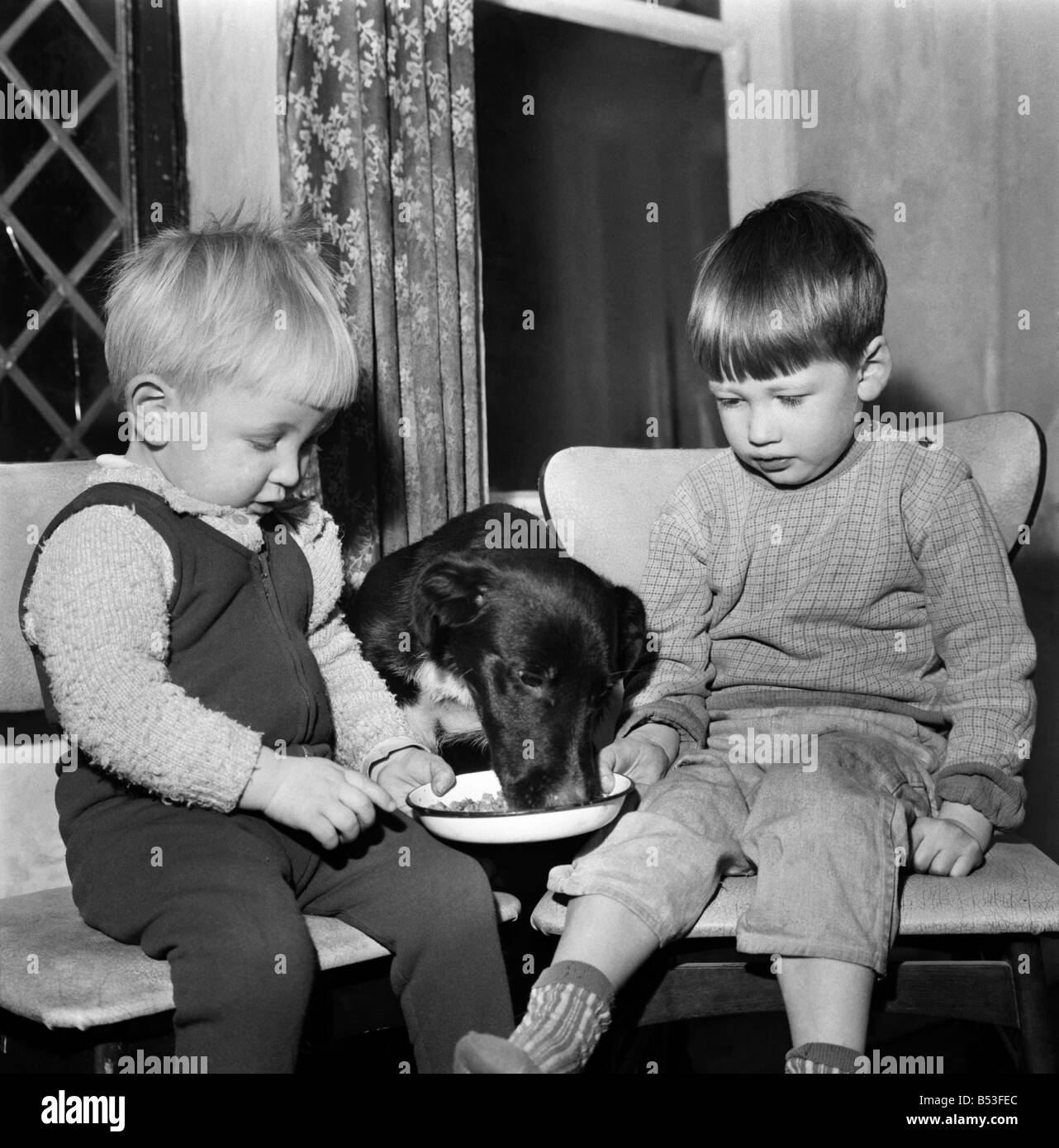 Children feeding animals hi-res stock photography and images - Alamy