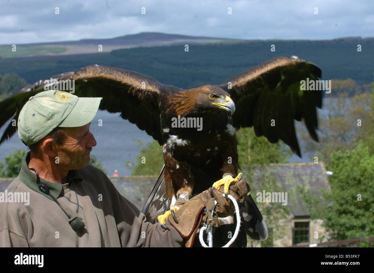 Birds of prey exhibit hi-res stock photography and images - Alamy