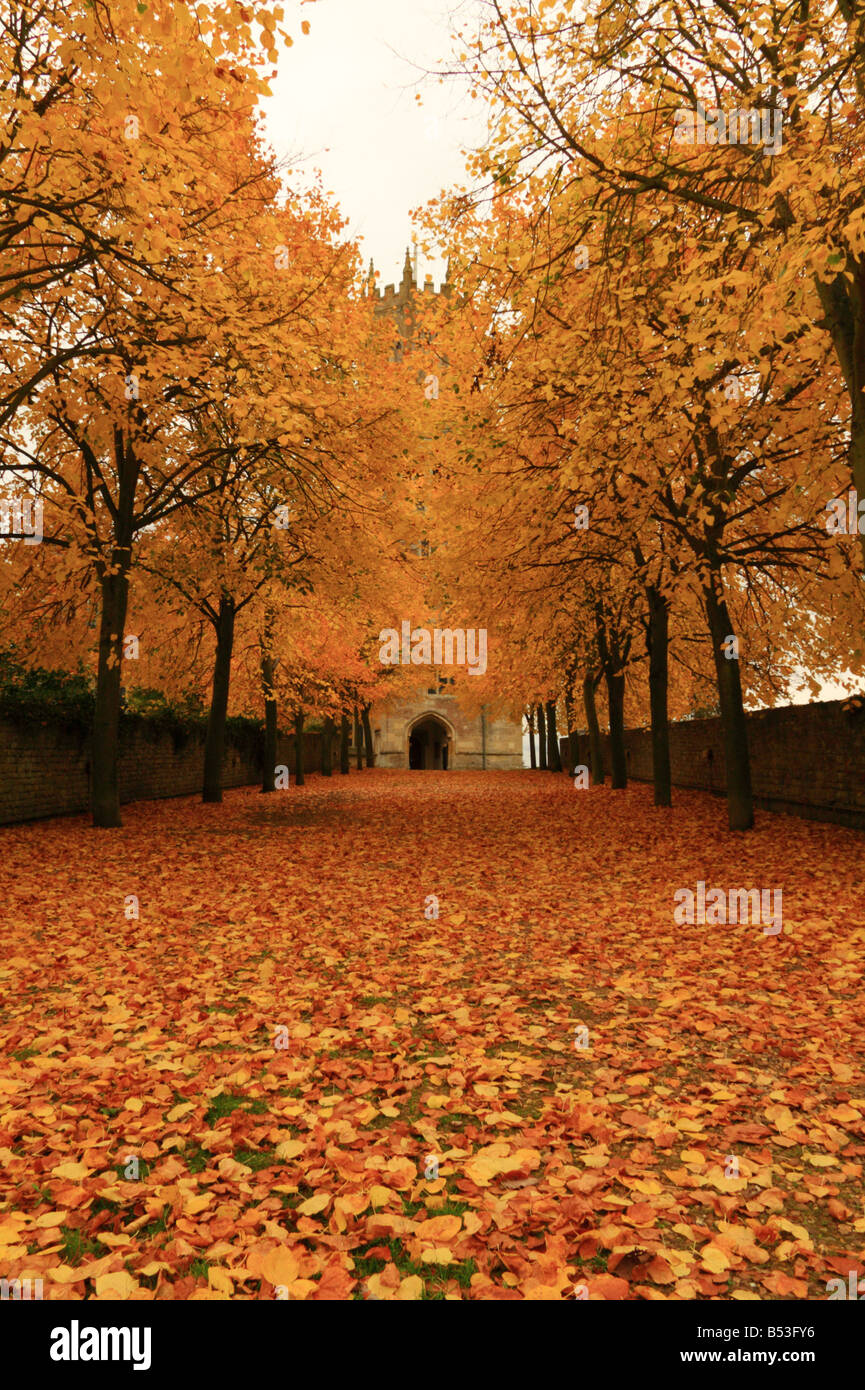 Pathway to the church hi-res stock photography and images - Alamy
