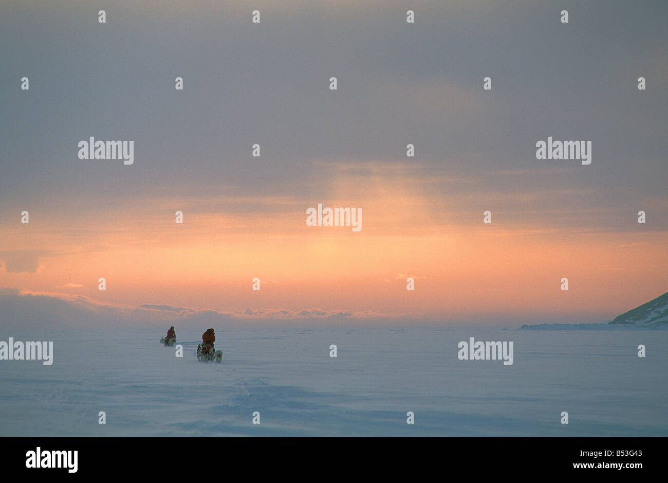 Polar night running hi-res stock photography and images - Alamy