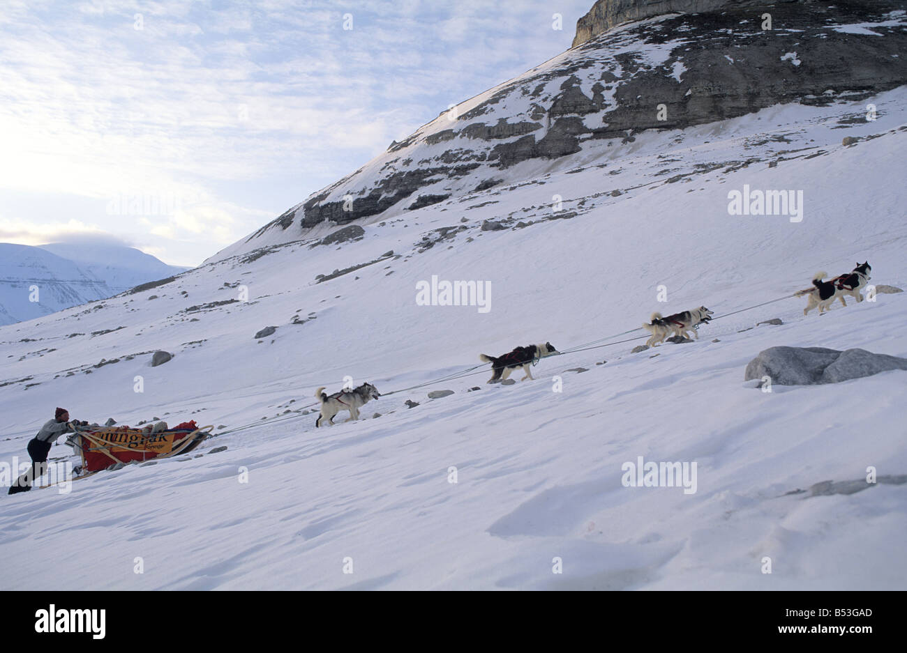 huskies - pulling sledge Stock Photo - Alamy