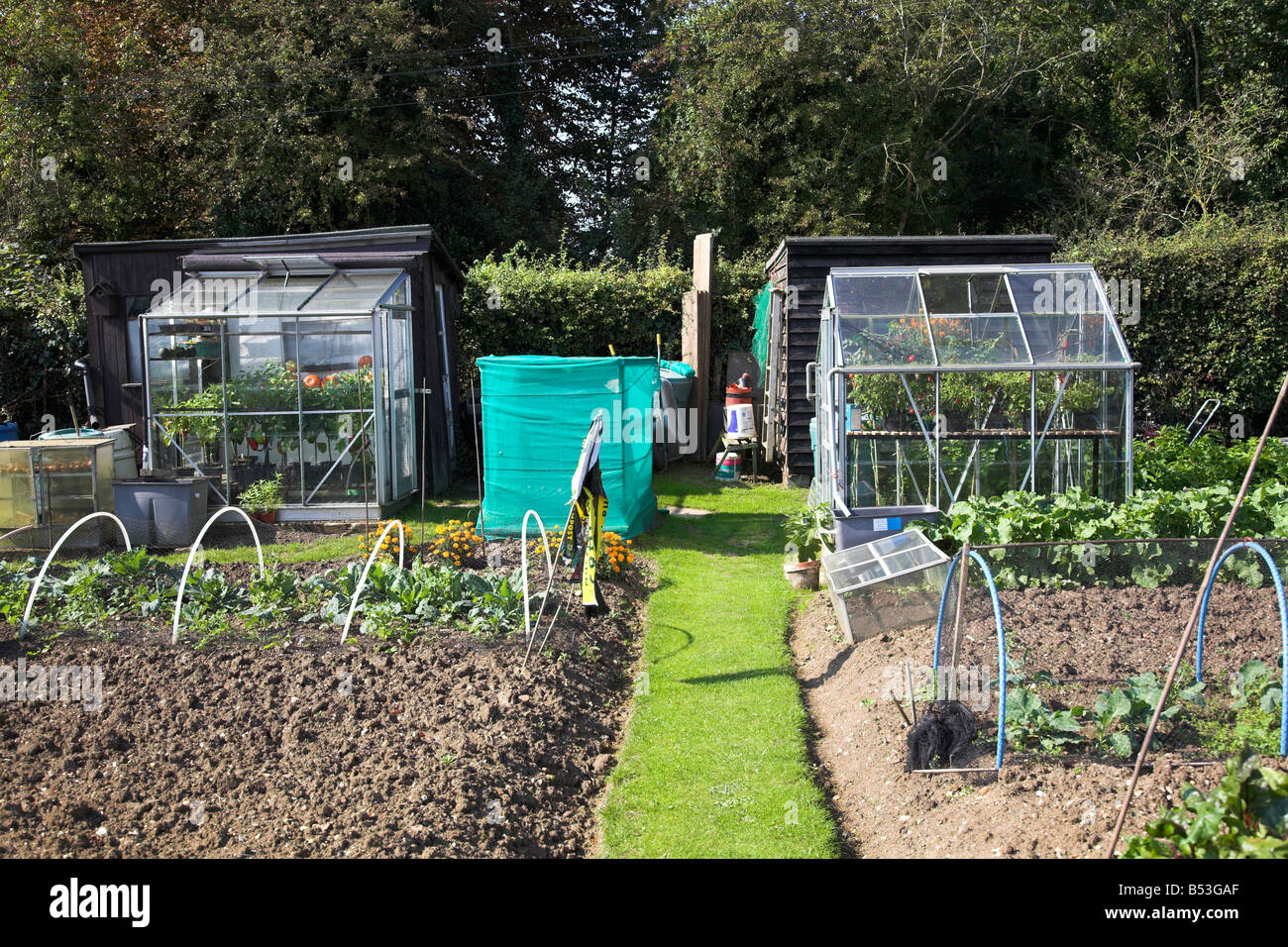 Pathway in a garden allotment Stock Photo - Alamy