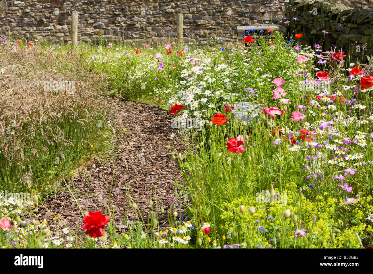 Bark path garden hi-res stock photography and images - Alamy