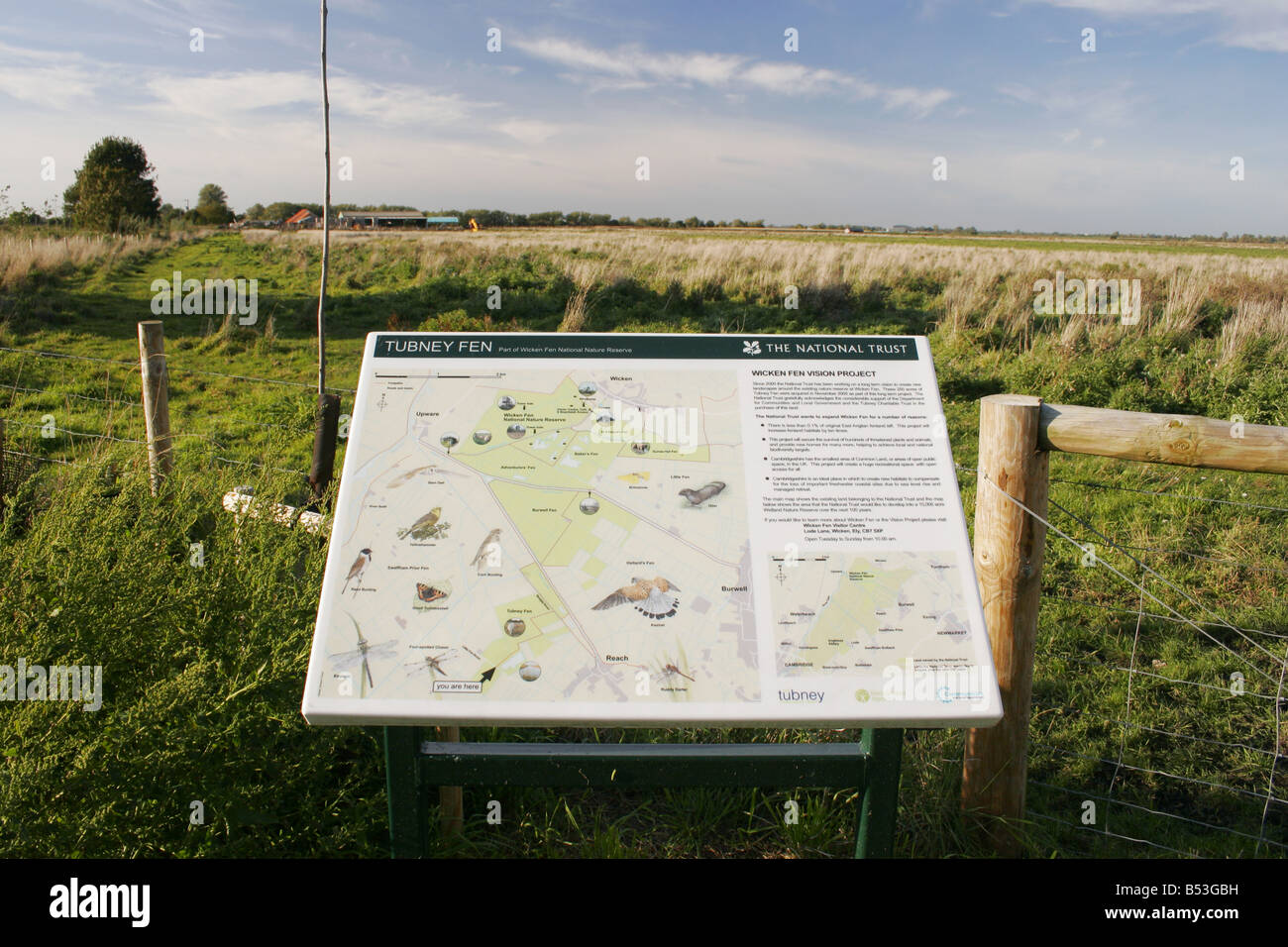 Tubney Fen, part of the National Trust's property Wicken Fen National ...