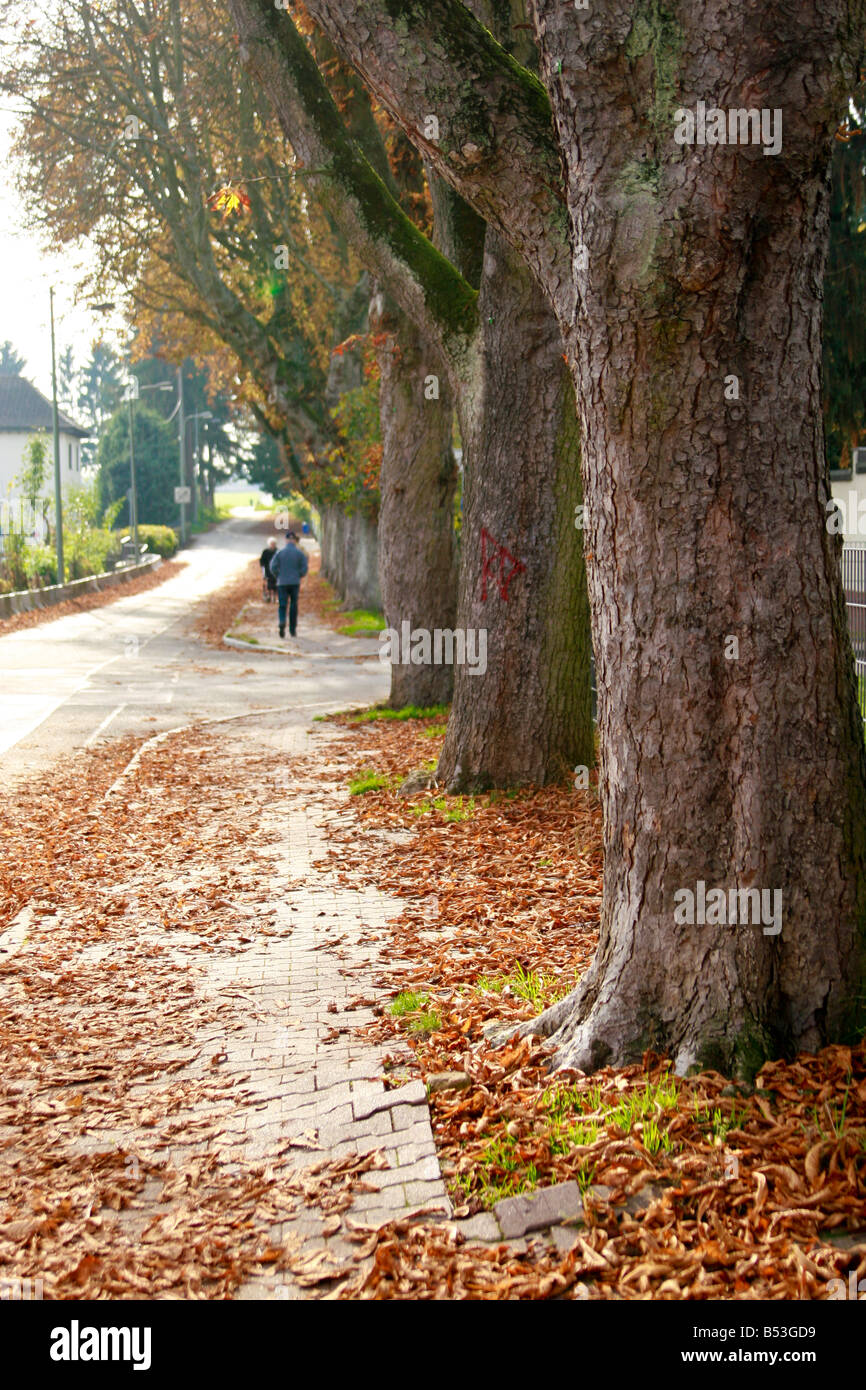 Strolling in autumn hi-res stock photography and images - Alamy