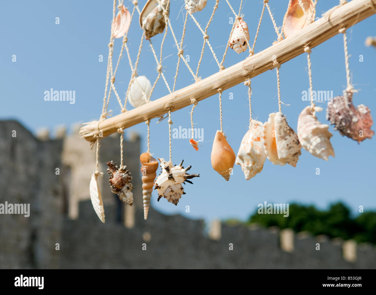 Adriatic sea shells hi-res stock photography and images - Alamy
