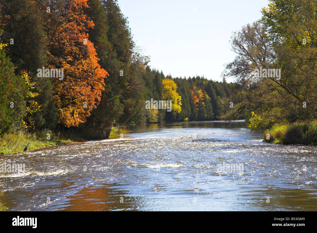 Grand River running through the Elora Gorge Conservation Park Stock ...