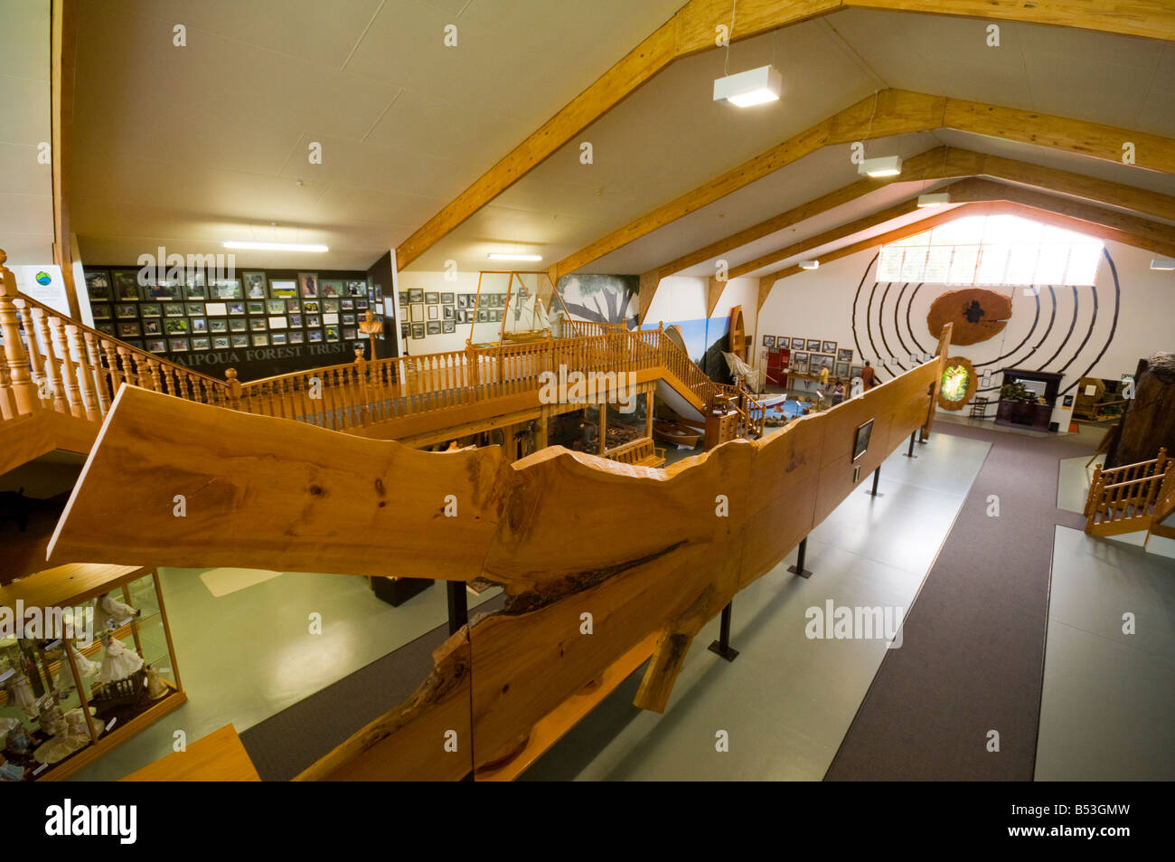The world's largest Kauri slab (22.5m long) at the Matakohe Kauri ...