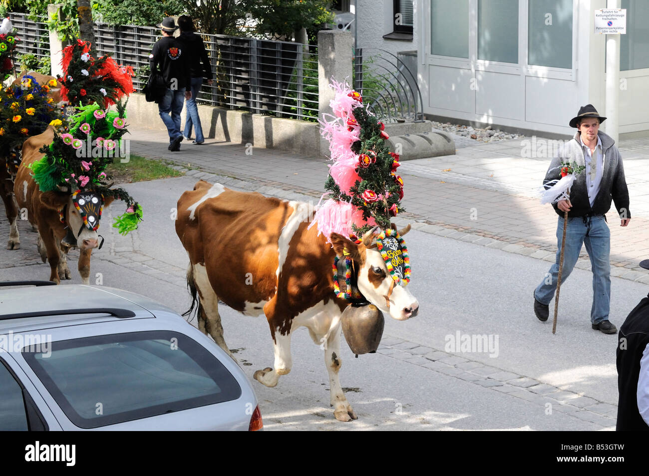 Almabtrieb austria hi-res stock photography and images - Alamy