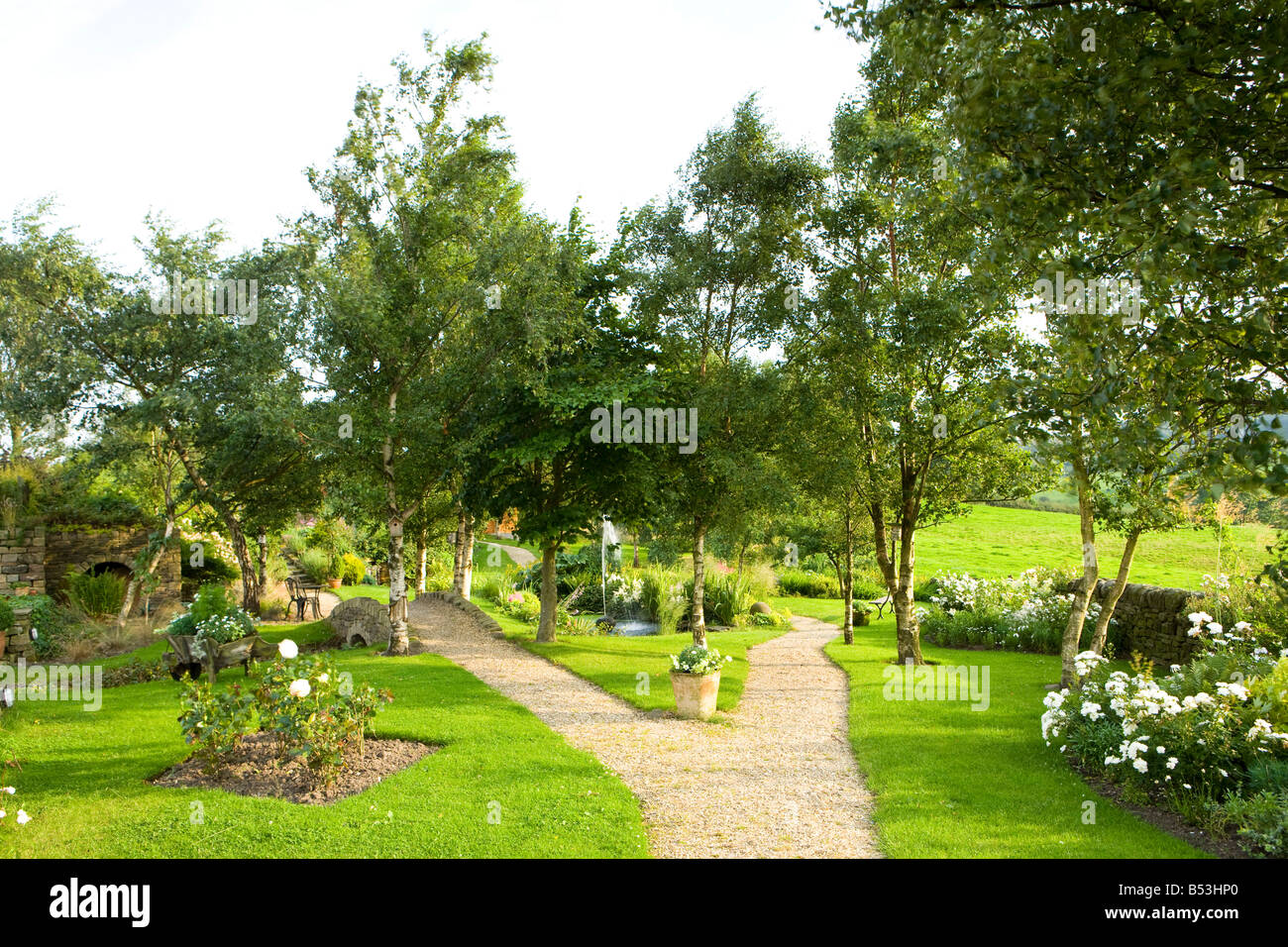 a garden path fork through silver birch trees Stock Photo - Alamy