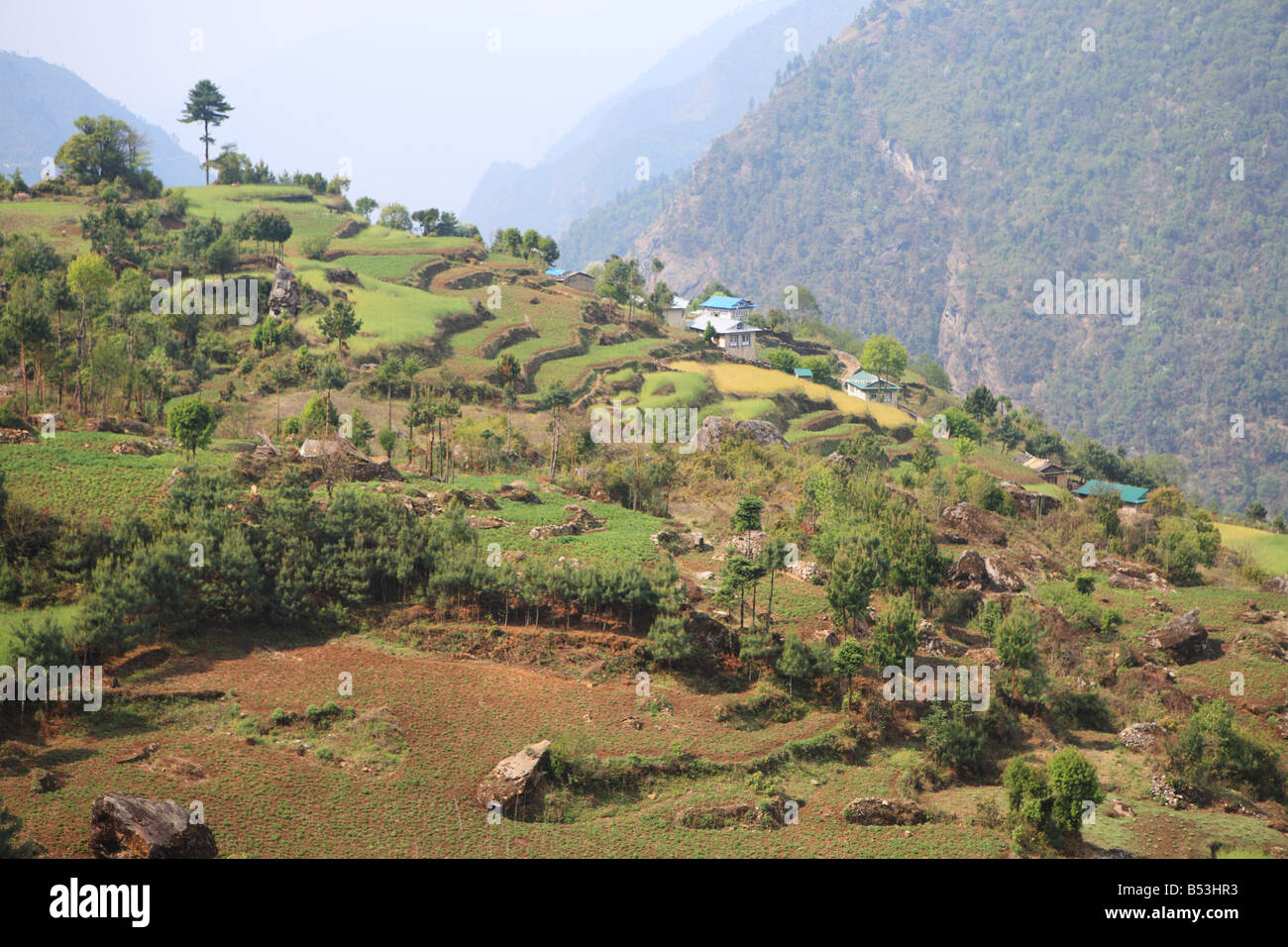 Sub tropical valleys near Phakding, Nepal Stock Photo - Alamy