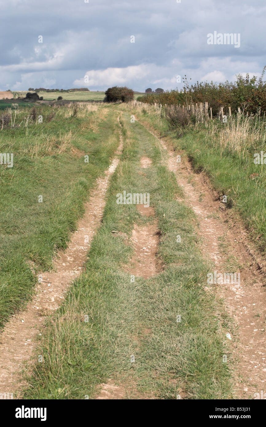 Countryside track of The Ridgeway National Trail near Marlborough ...
