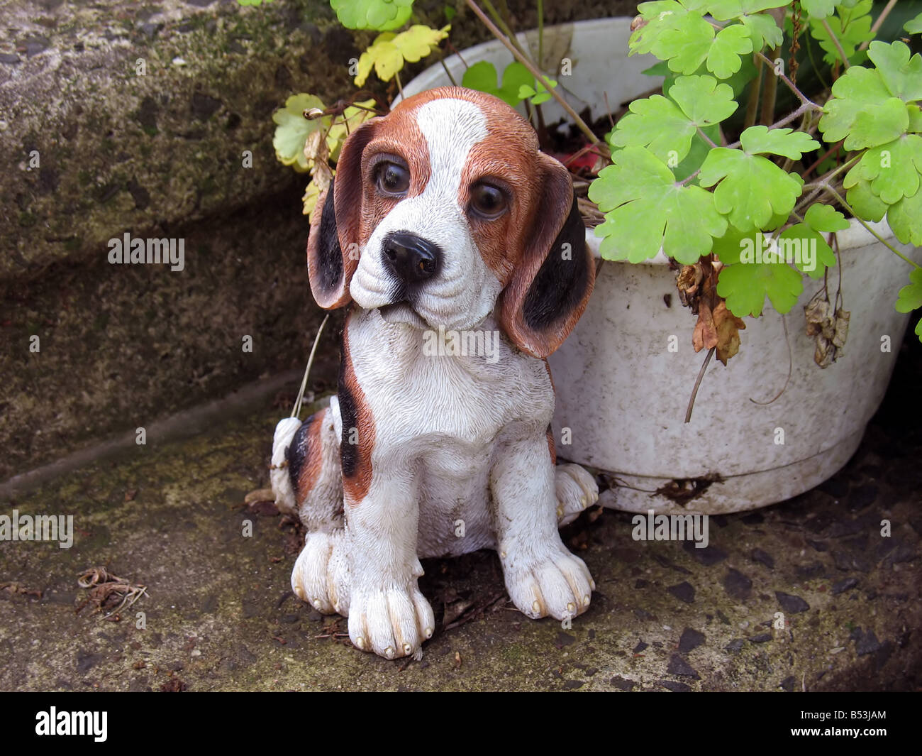 a cute little beagle garden figurine Stock Photo - Alamy