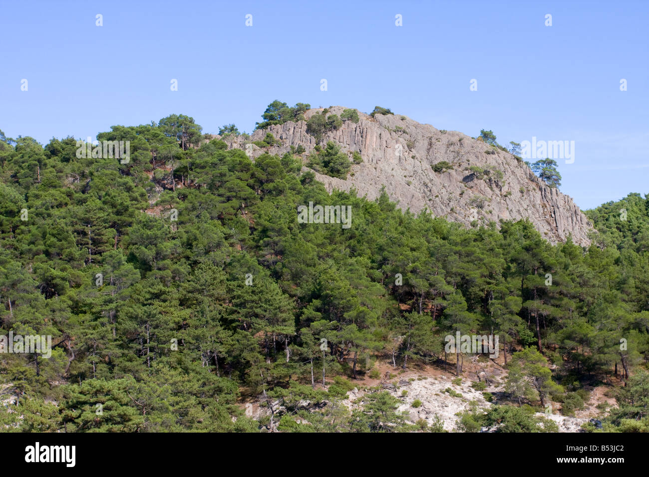 Dadia national park hi-res stock photography and images - Alamy