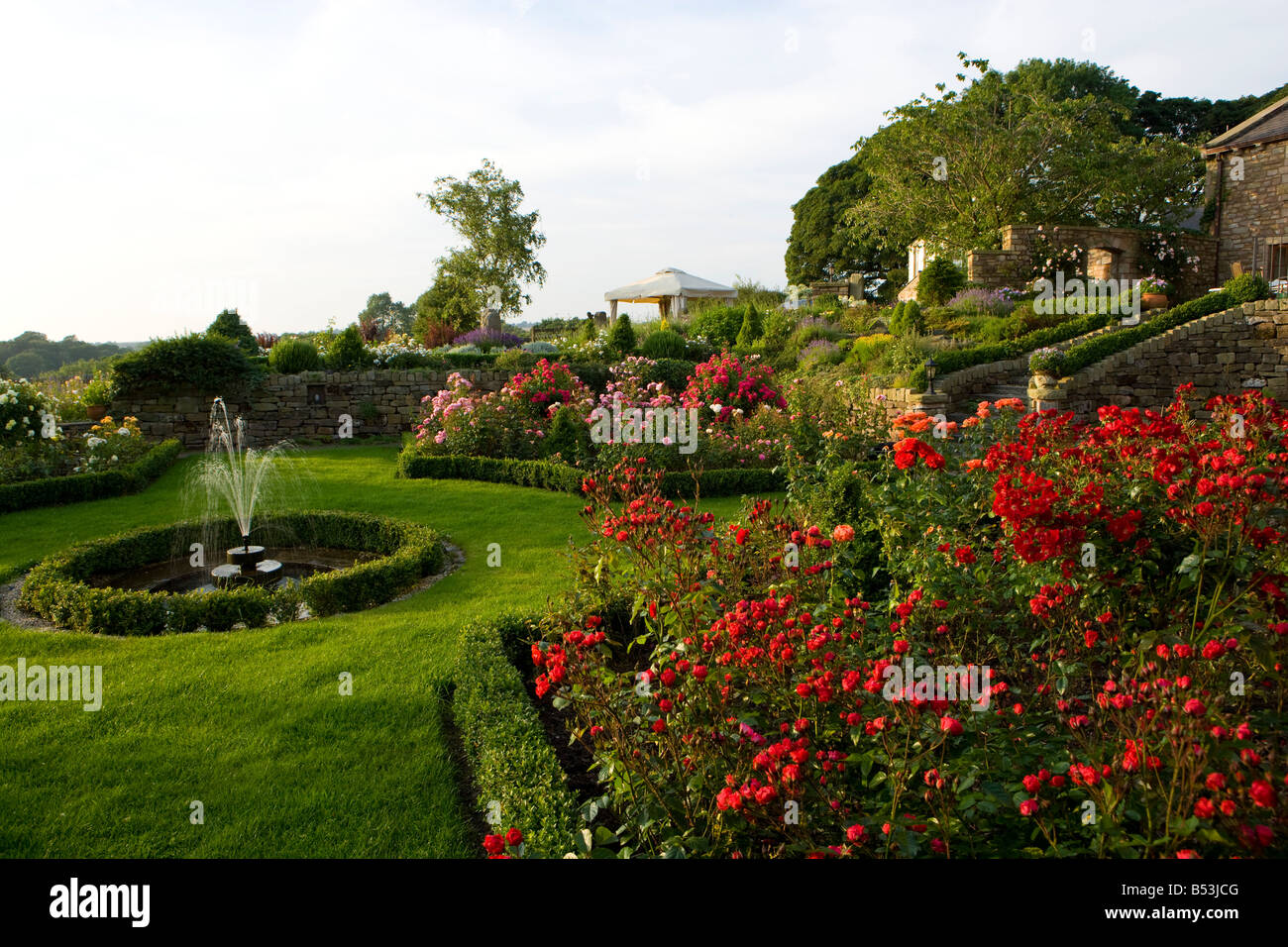 Large garden beds roses hi-res stock photography and images - Alamy