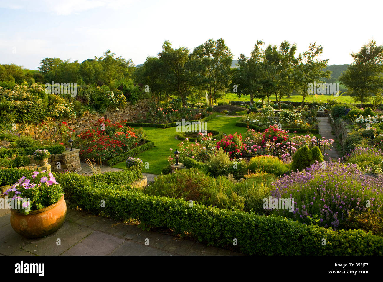 Large garden beds roses hi-res stock photography and images - Alamy
