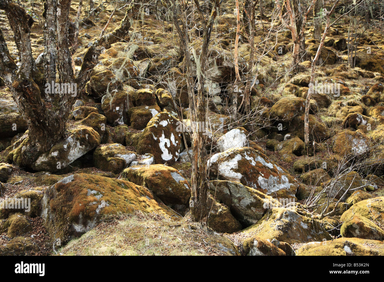 Nepal tours hi-res stock photography and images - Alamy
