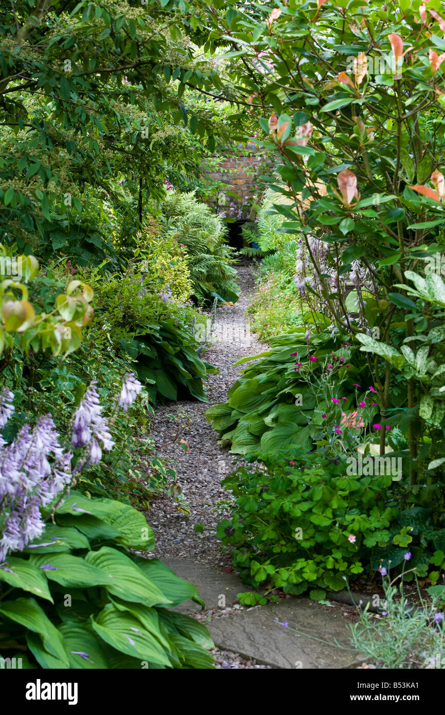 See through flower hi-res stock photography and images - Alamy