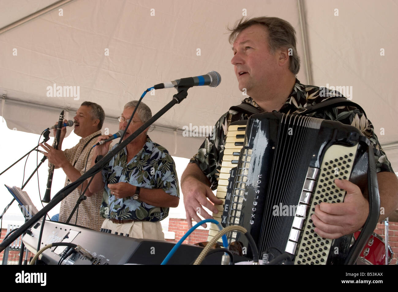 Polka band plays the music for a crowd at an ethnic festival in ...