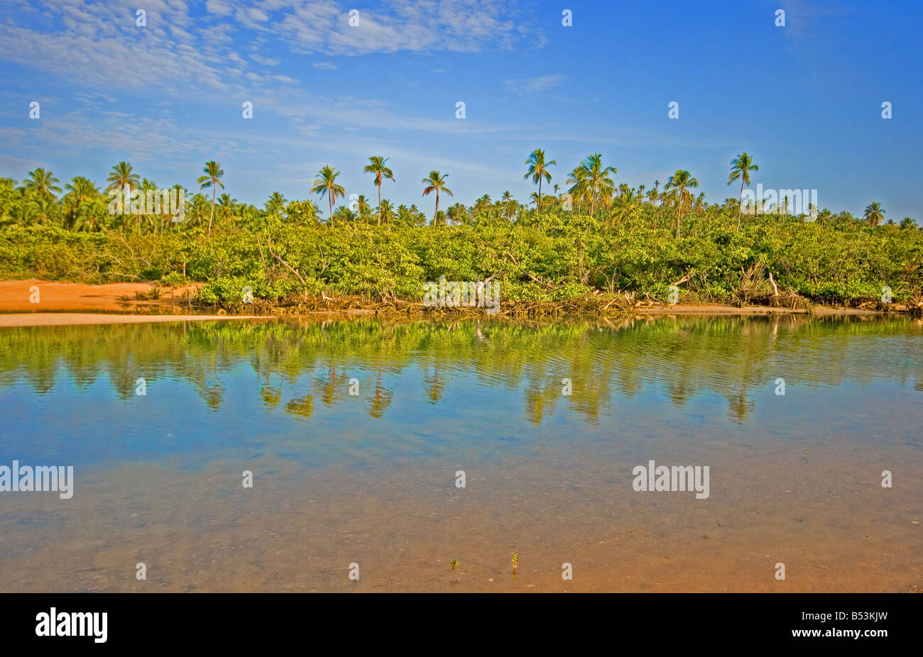 Mangrove landscape hi-res stock photography and images - Alamy