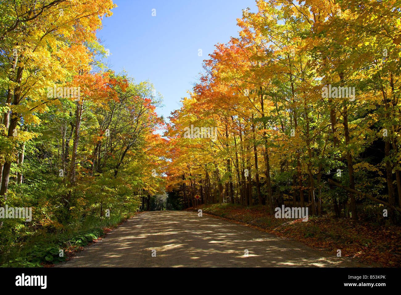 Magnificence of autumn Stock Photo - Alamy
