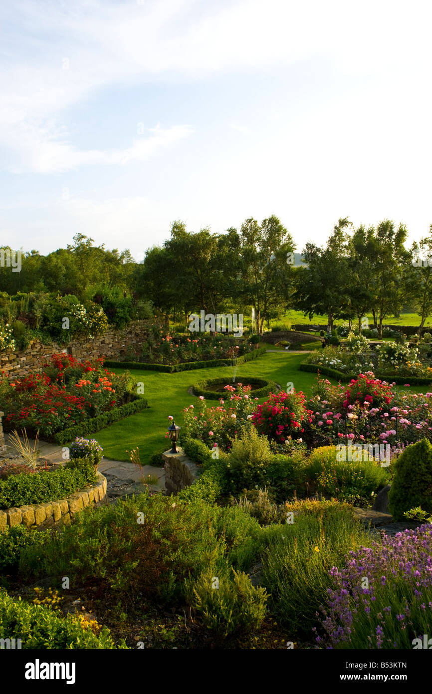 Birch trees garden uk hi-res stock photography and images - Alamy