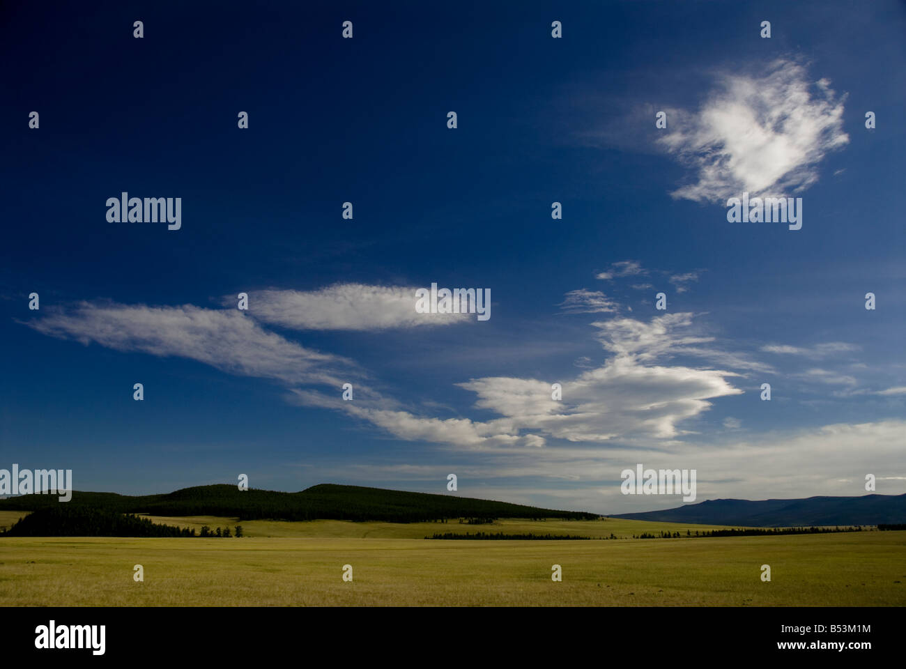 Mongolian steppe hi-res stock photography and images - Alamy