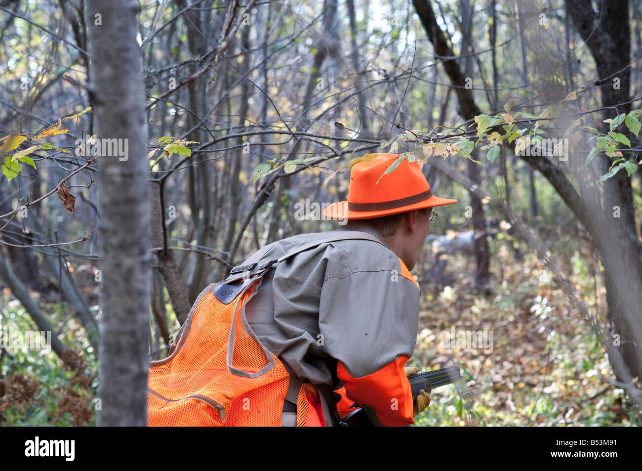 Grouse hunting in new brunswick hi-res stock photography and images - Alamy