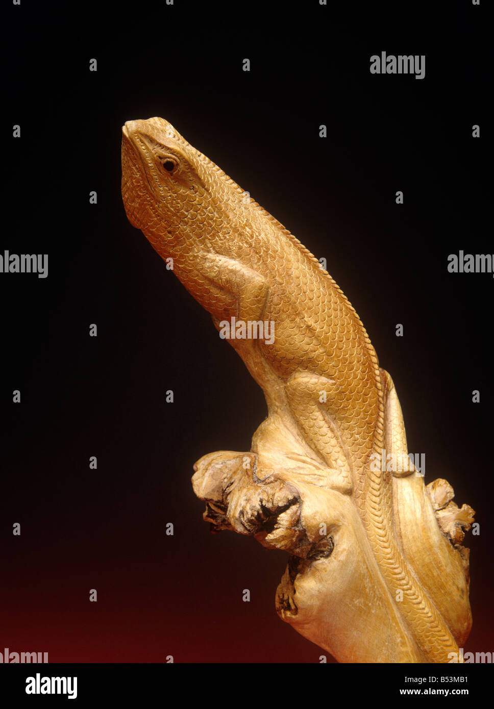 Reptile parasite hi-res stock photography and images - Alamy