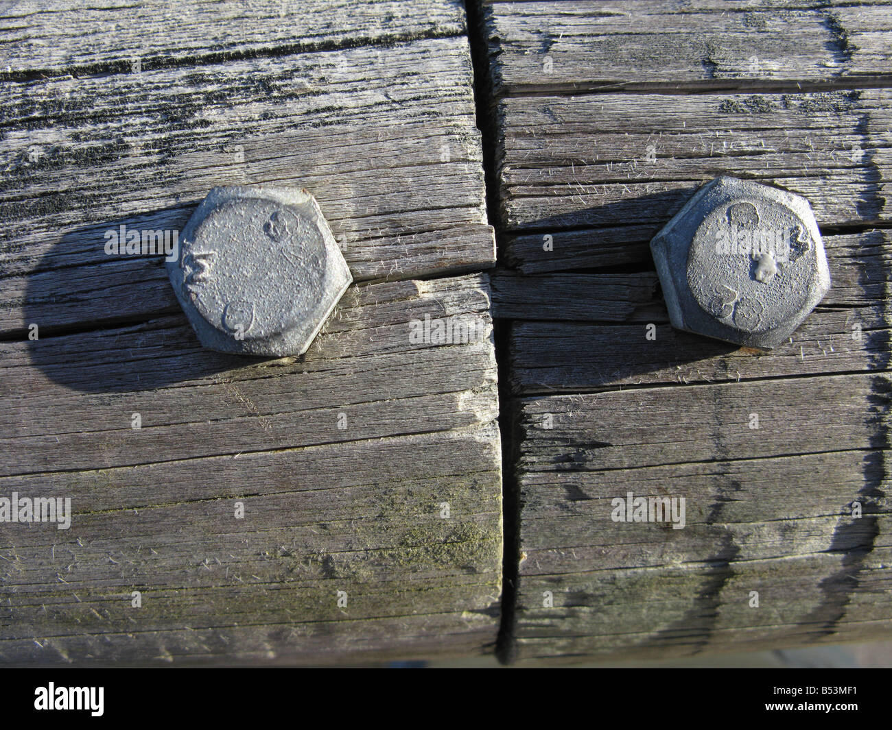 Two nuts hi-res stock photography and images - Alamy