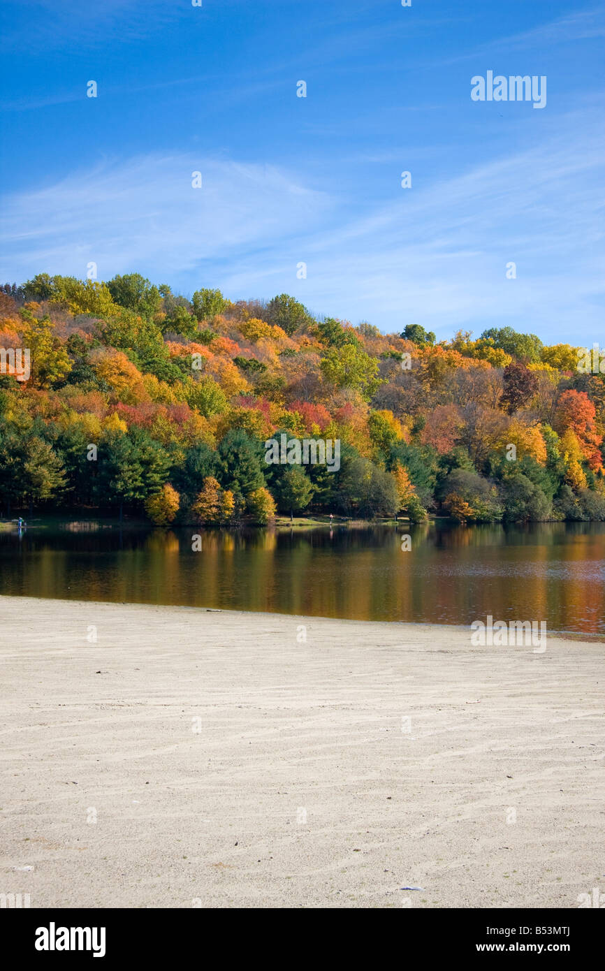 Brightly colored trees hi-res stock photography and images - Alamy