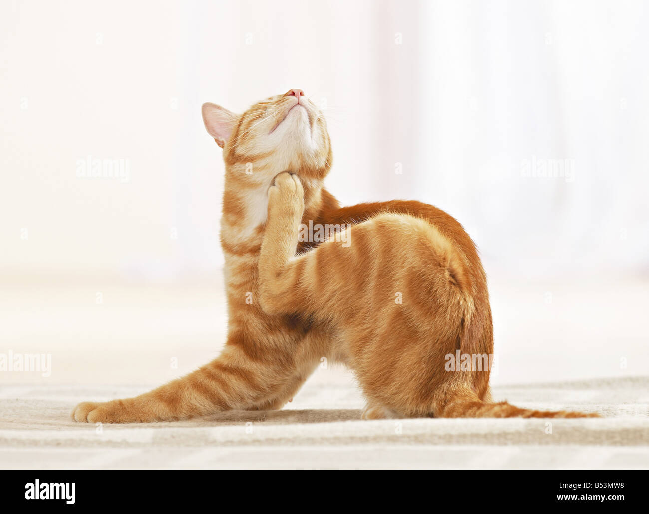 Itself hi-res stock photography and images - Alamy
