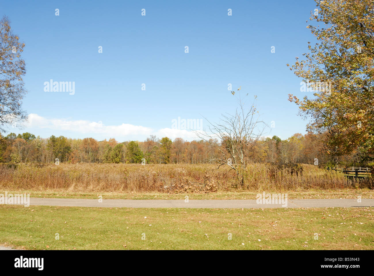 Fall scene with deep blue sky and line of clouds Stock Photo - Alamy