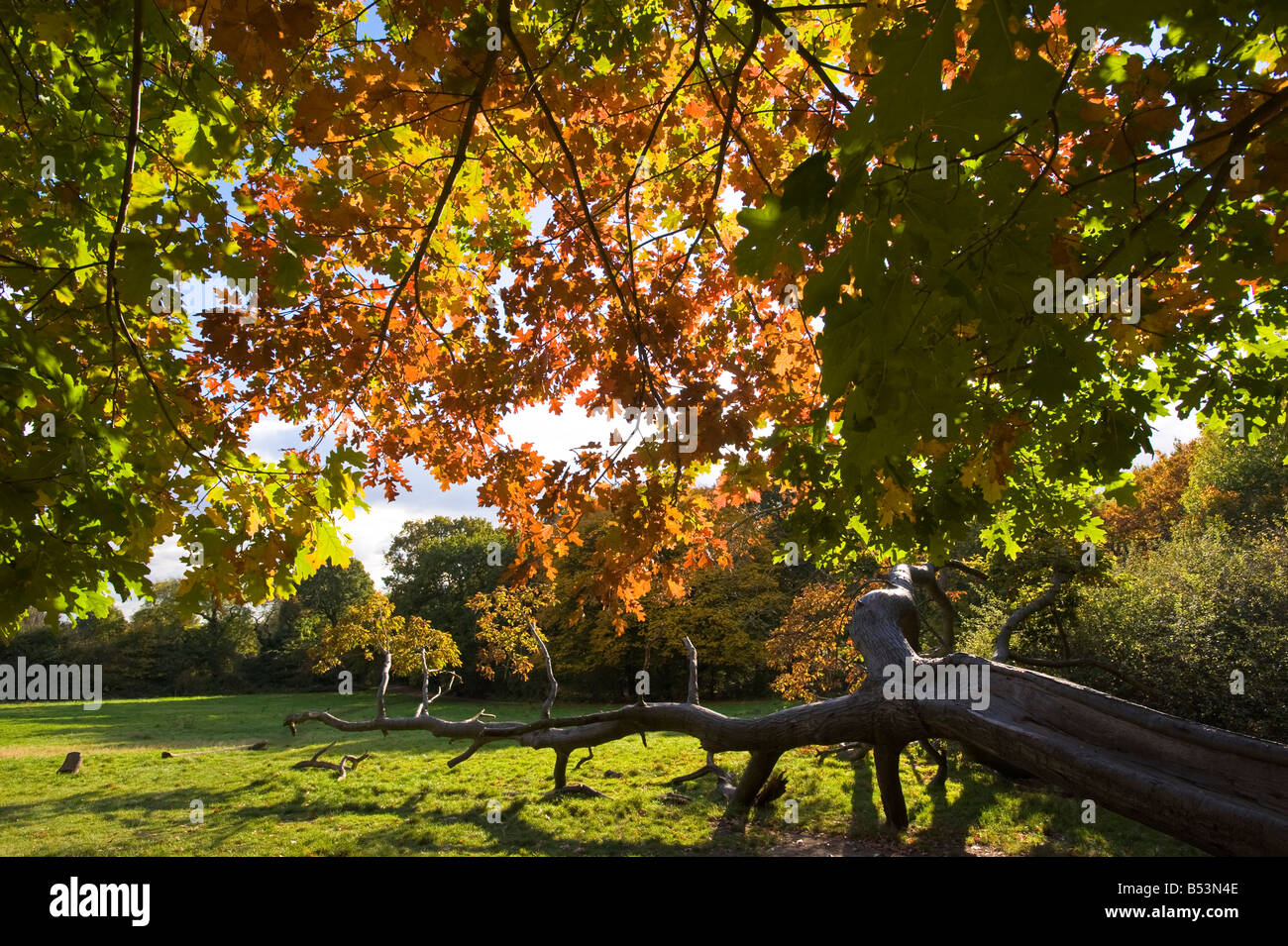 Hampstead heath london united kingdom hi-res stock photography and ...