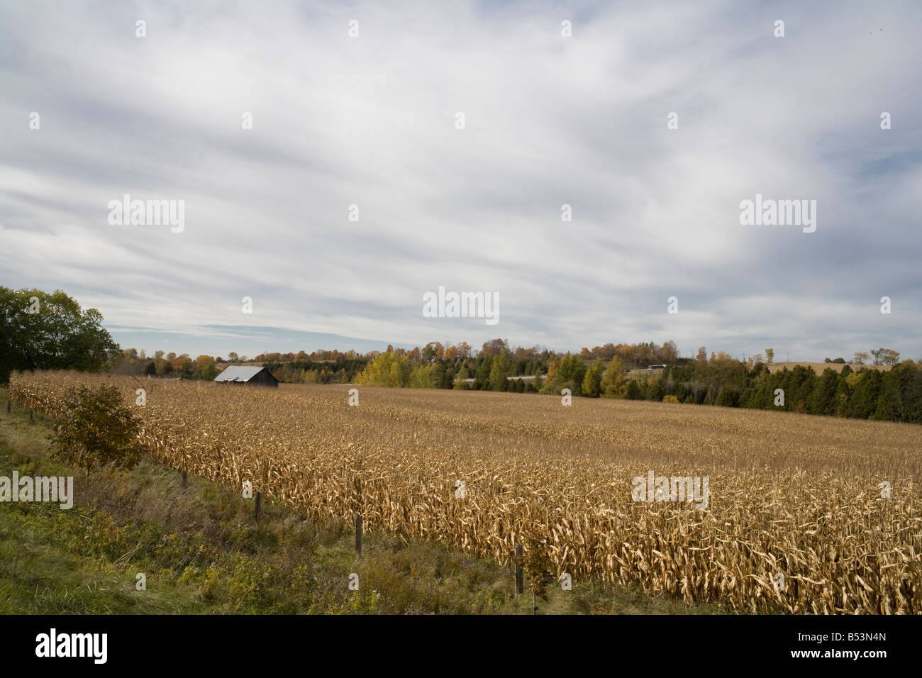 Farm ontario field hi-res stock photography and images - Alamy