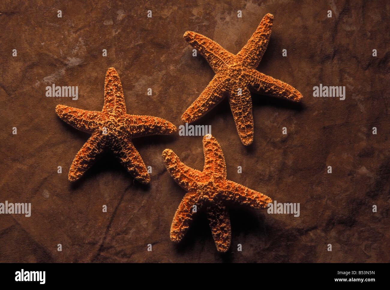 Aqua science hi-res stock photography and images - Alamy